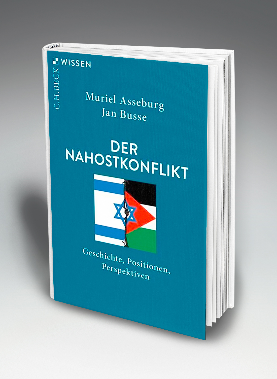 Der Nahostkonflikt Geschichte Positionen Perspektiven